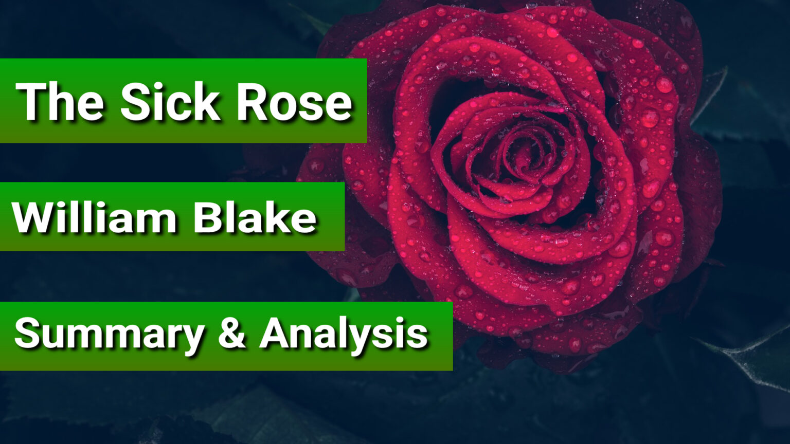 "The Sick Rose" Analysis & Summary by William Blake - Web Academix