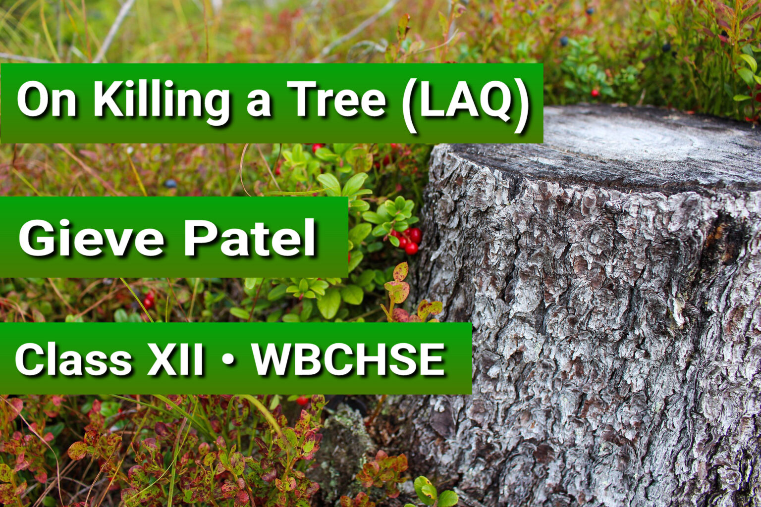 "On Killing a Tree" by Gieve Patel (L.A.Q) Long Questions and Answers ...